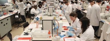 Biosciences at Sheffield | The University of Sheffield