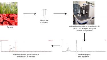 Metabolomics strategies | Faculty of Science Mass Spectrometry Centre ...