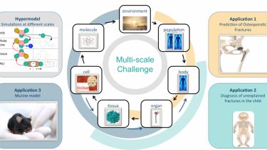 Multiscale modelling workflows and applications | MultiSim Project ...