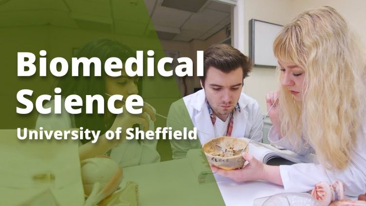 Biomedical Science BSc | 2021-2022 | Undergraduate | The University of ...