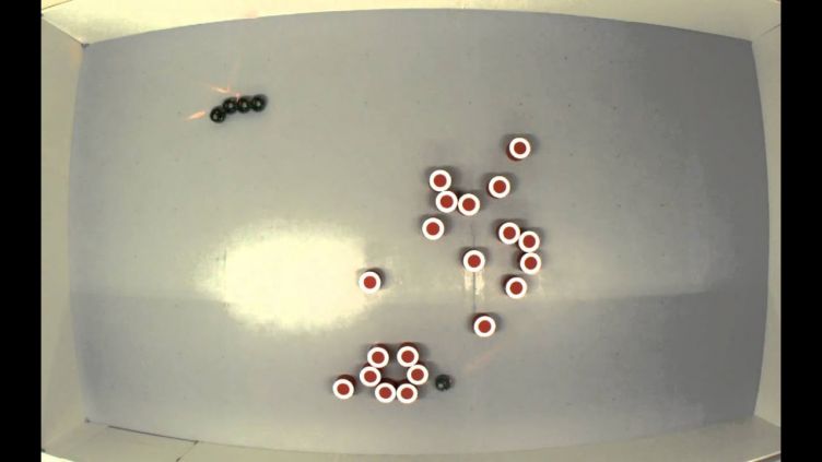 Clustering objects with robots that do not compute | Natural Robotics ...