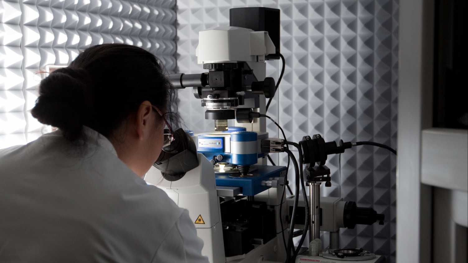 Science Graduate School | SGS | The University of Sheffield