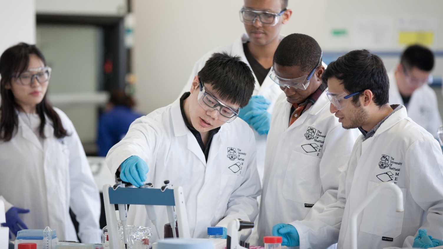 Global Engineering Challenge | Faculty of Engineering | The University ...