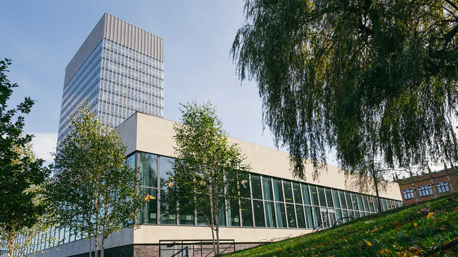 Doctoral opportunities at the School of Education | Education | The ...