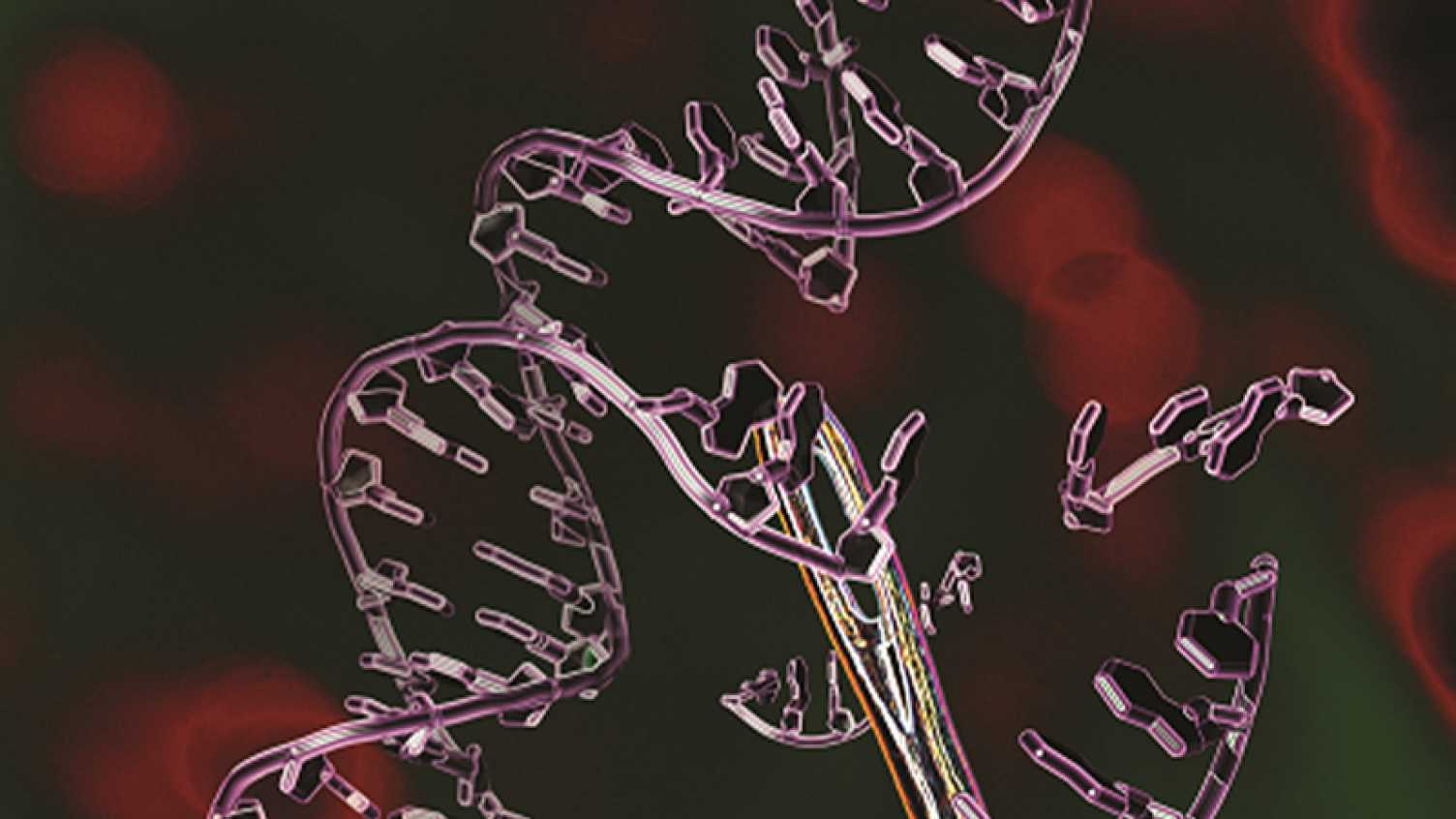 The truth is out there: scientists unlock X-Files DNA mystery ...