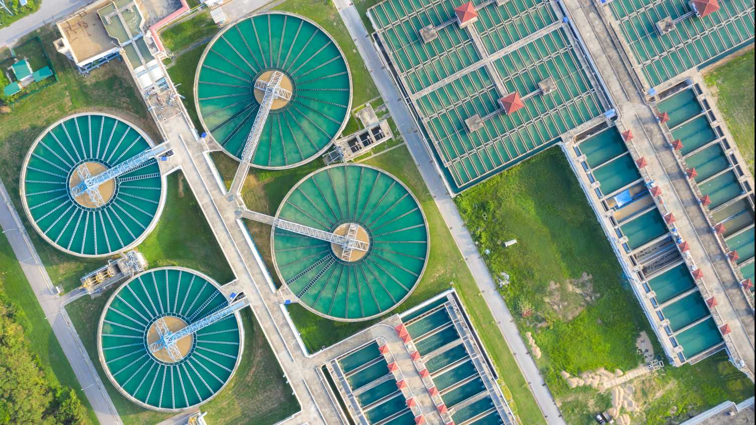 Bio-engineering | Pennine Water Group | The University of Sheffield