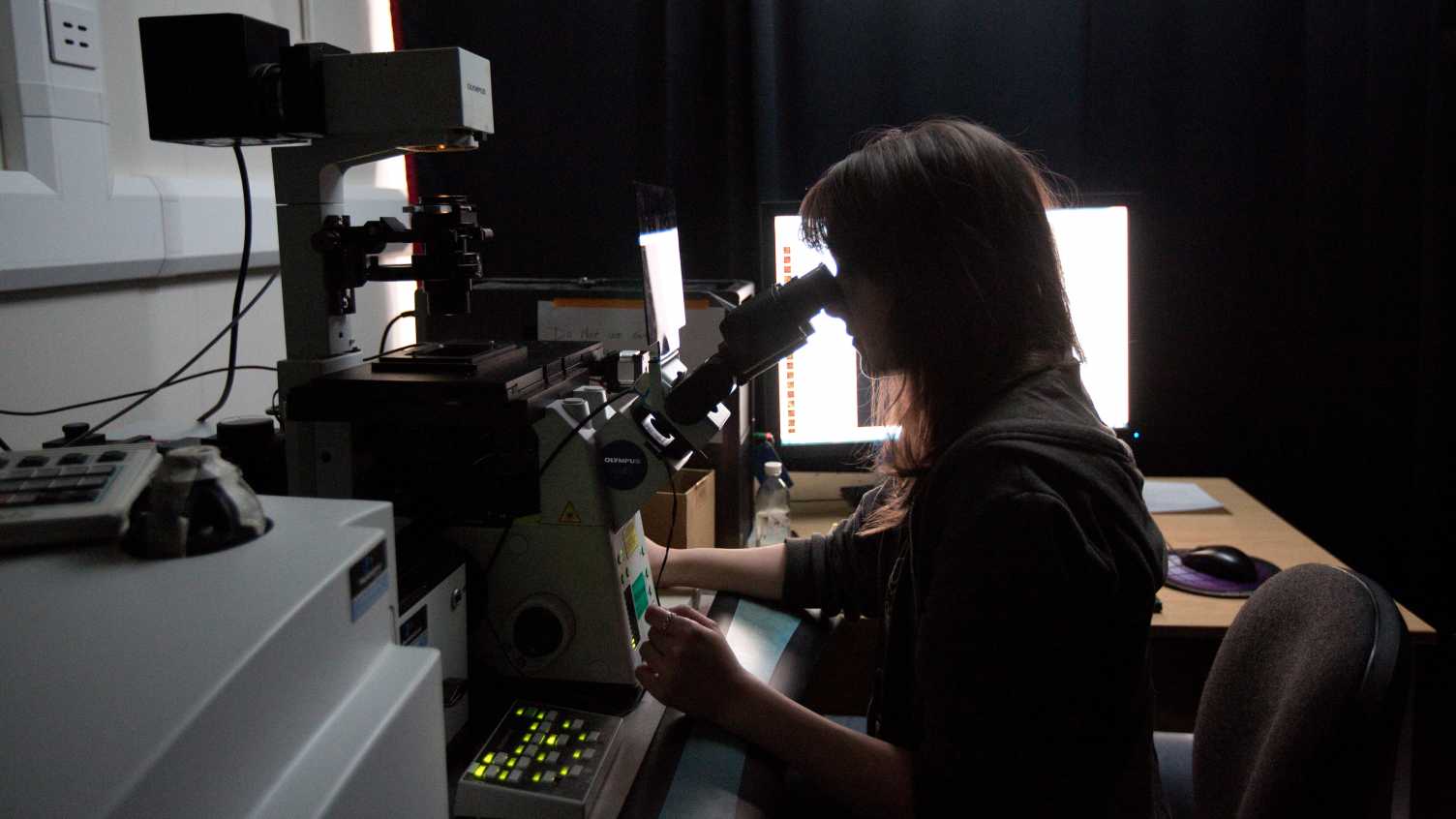 Wolfson Light Microscopy Facility | Wolfson Light Microscopy Facility | The University of Sheffield