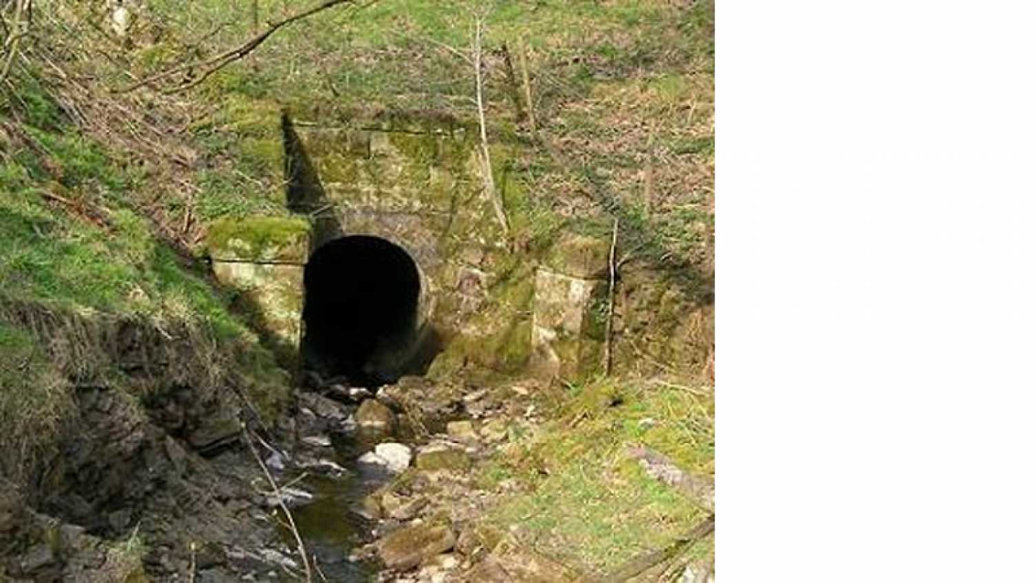 Ecological impacts of culverts on benthic invertebrates: Habitat ...