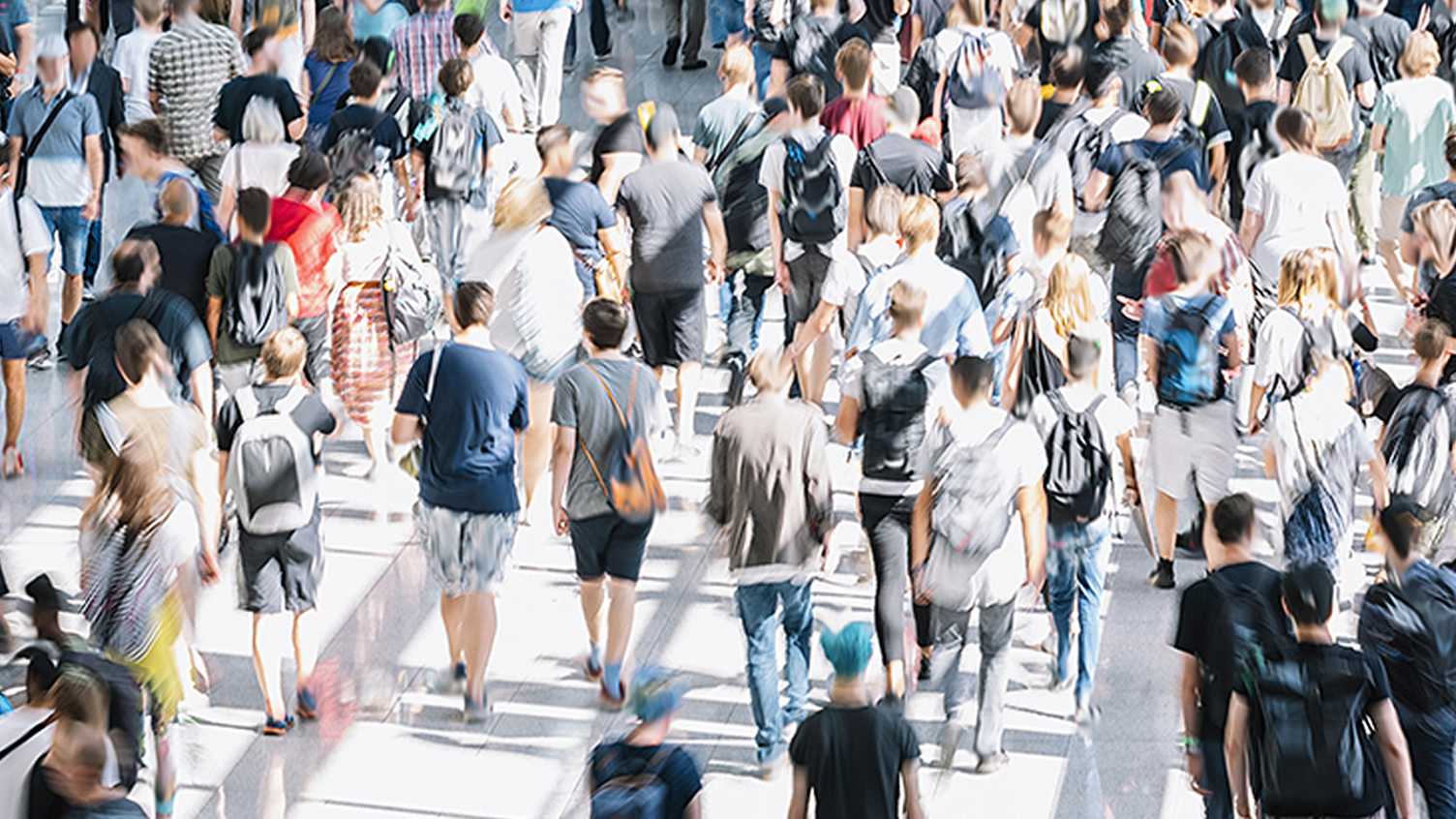 Regional contacts | City and region | The University of Sheffield