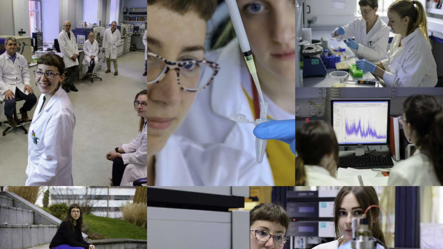 A Part of Sheffield ... | Faculty of Science Mass Spectrometry Centre ...