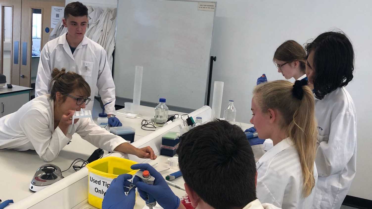 Work Experience 2018: A great opportunity for outreach | Faculty of ...