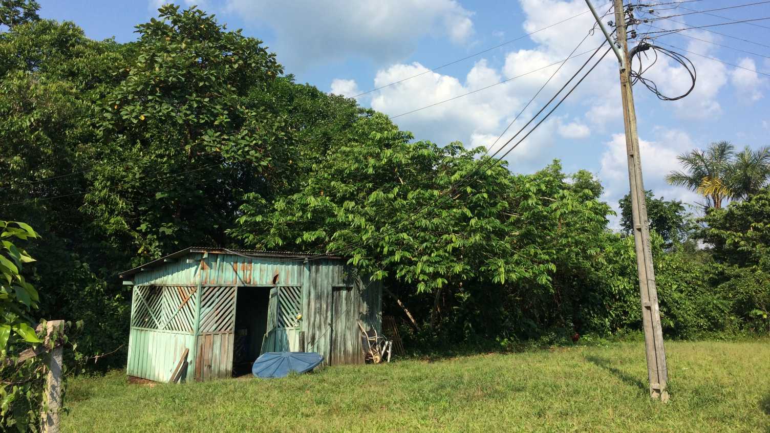 New renewable energy microgrids can bring sustainable electricity to ...