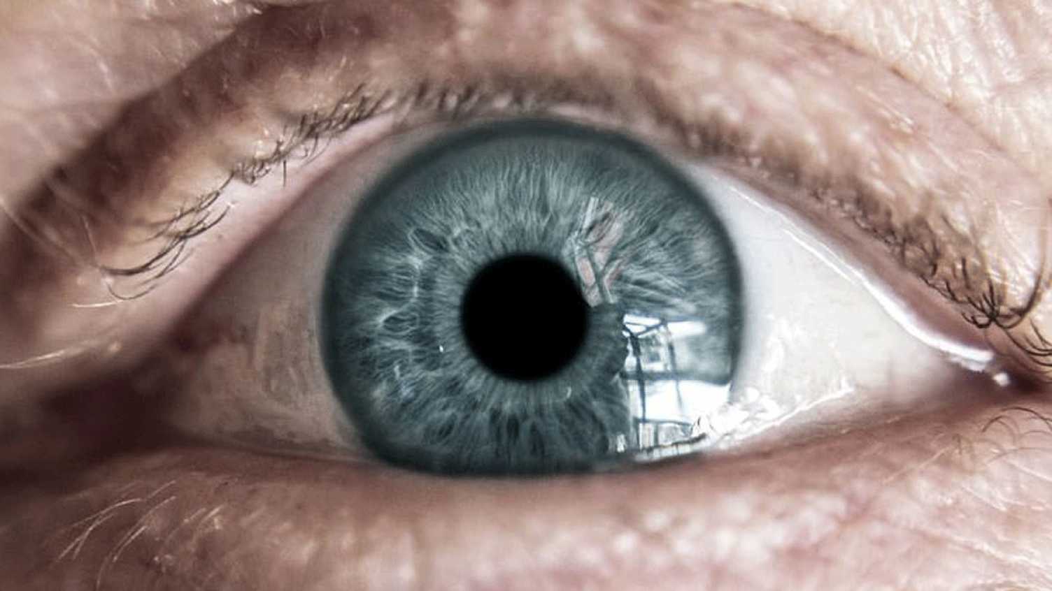 Covid-19 and vision impairment in Britain: a narrative of absence ...