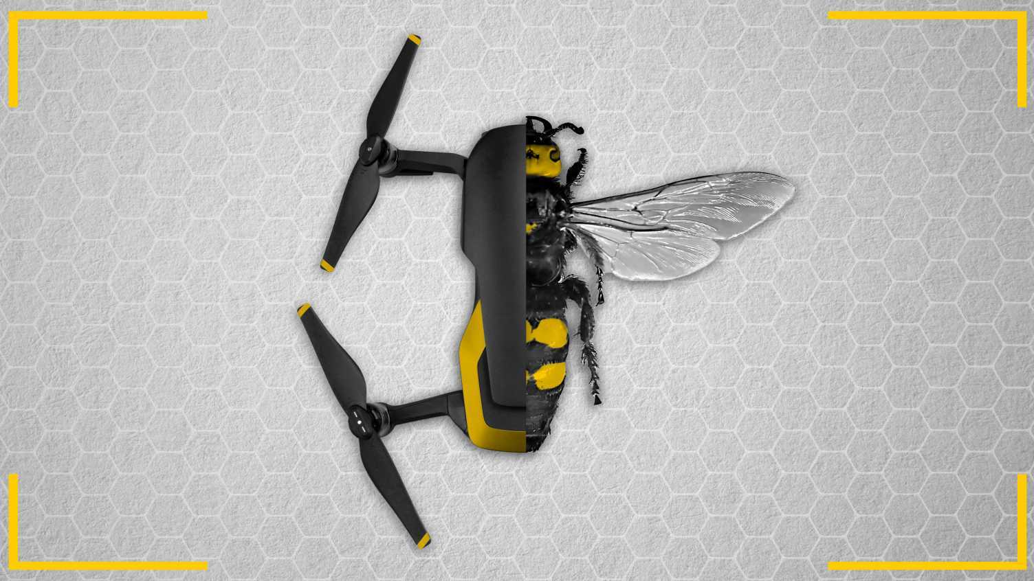 Bees are helping design the next generation of autonomous technology ...