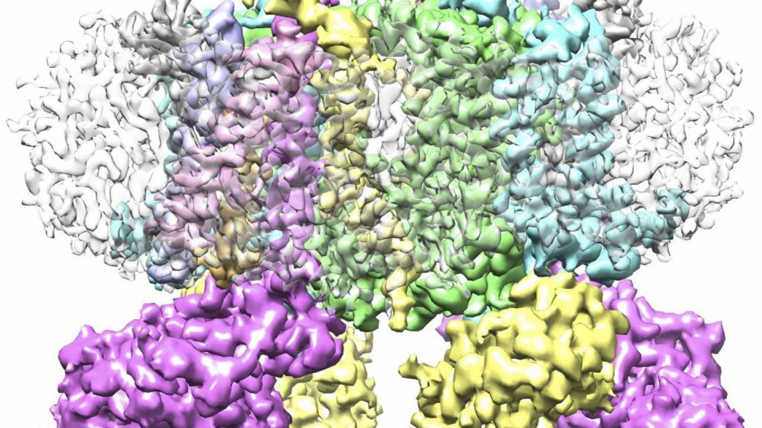 Cryo-EM Structure Of The Spinach Cytochrome B6f Complex At 3.6Å ...