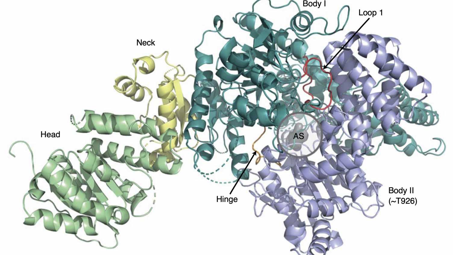 Chlorophyll biosynthesis in bacteria and plants | Photosynthesis | The ...