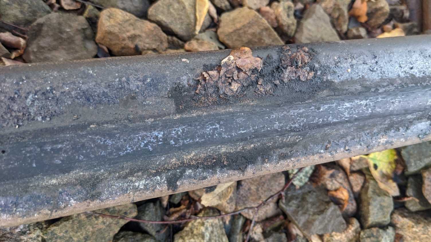 Understanding Leaf Chemistry and Effects on Friction | RITC | The ...