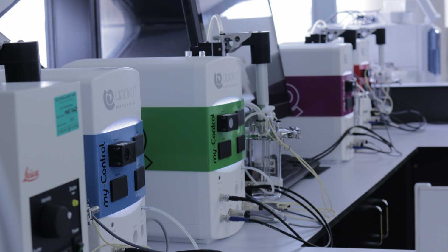 Bioengineering Tissue Lab | Faculty of Engineering | The University of ...