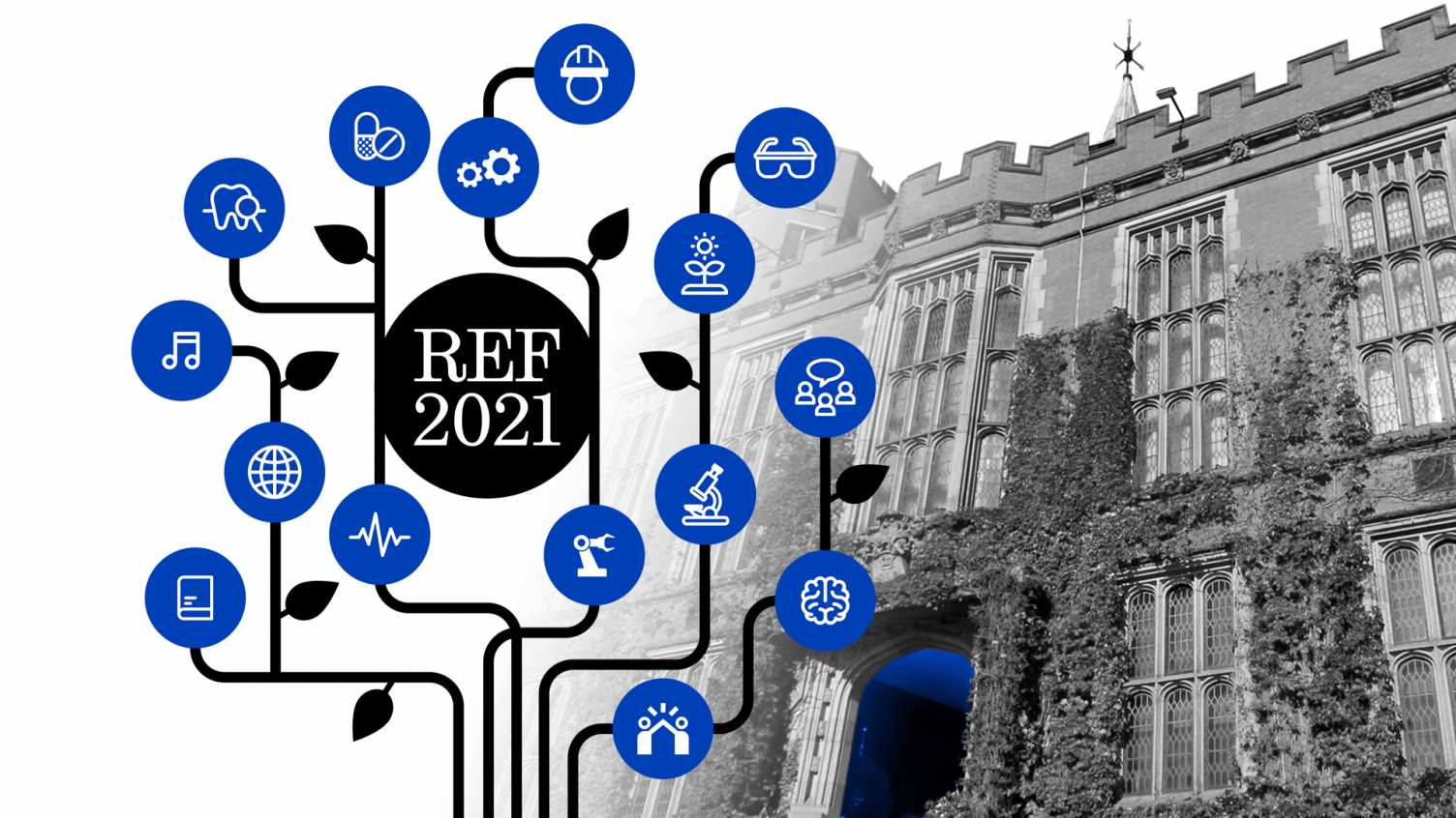 Biosciences at Sheffield rated 4th in the UK for the quality of ...