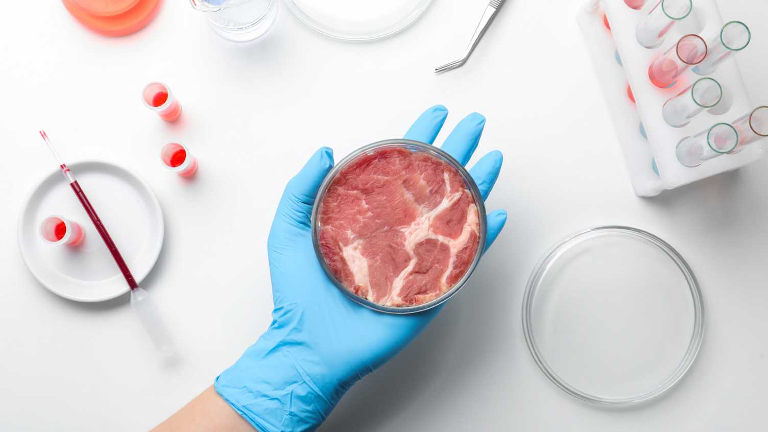 Cultured meat - a threat or an opportunity for UK farmers? | Institute ...