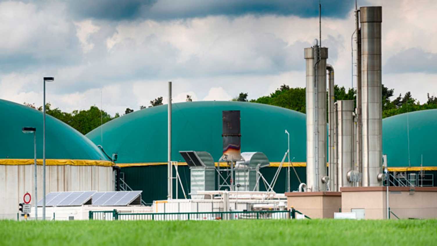 Energy from waste | Energy 2050 | The University of Sheffield