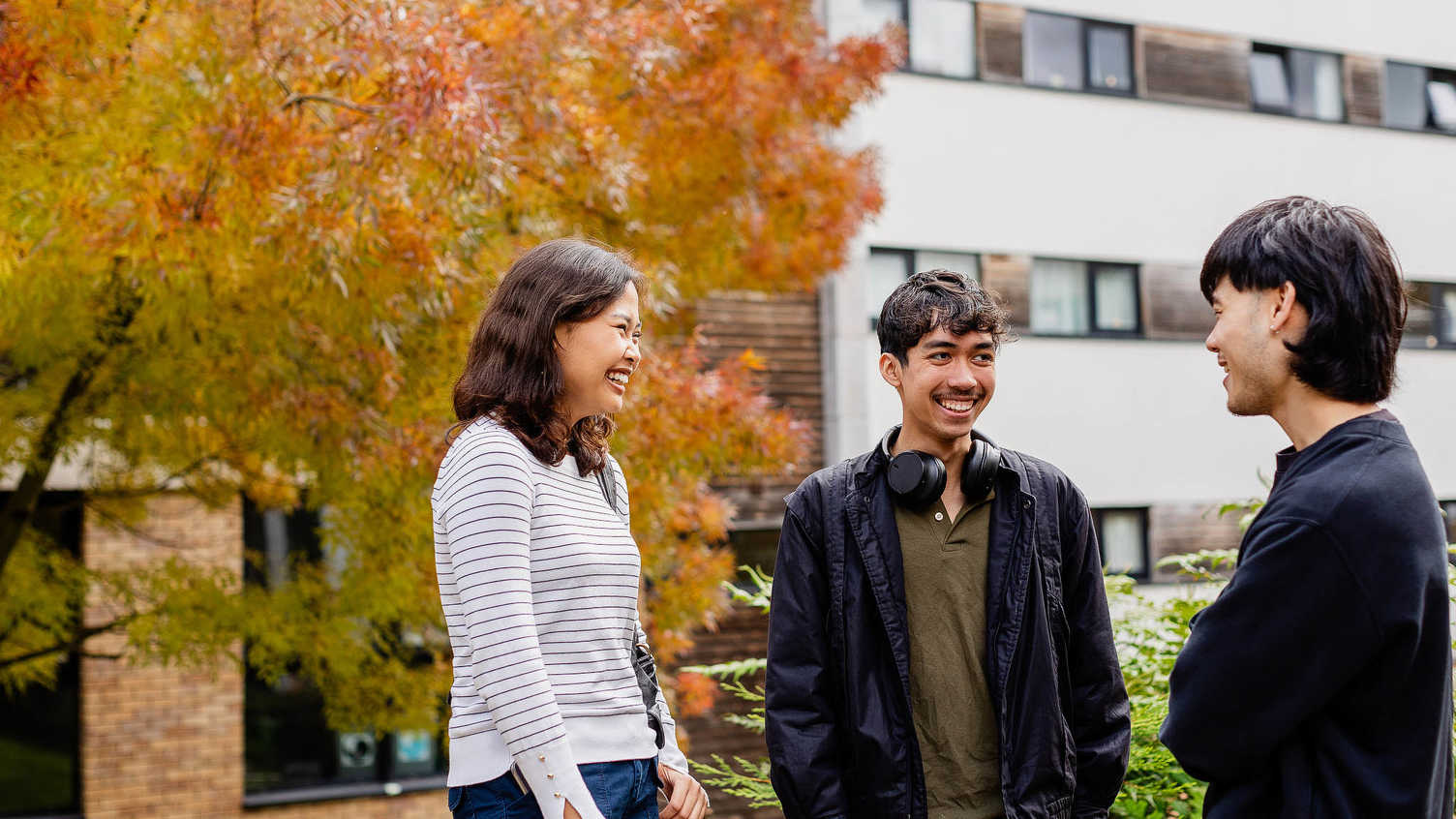 Ranmoor & Endcliffe | Accommodation | The University of Sheffield