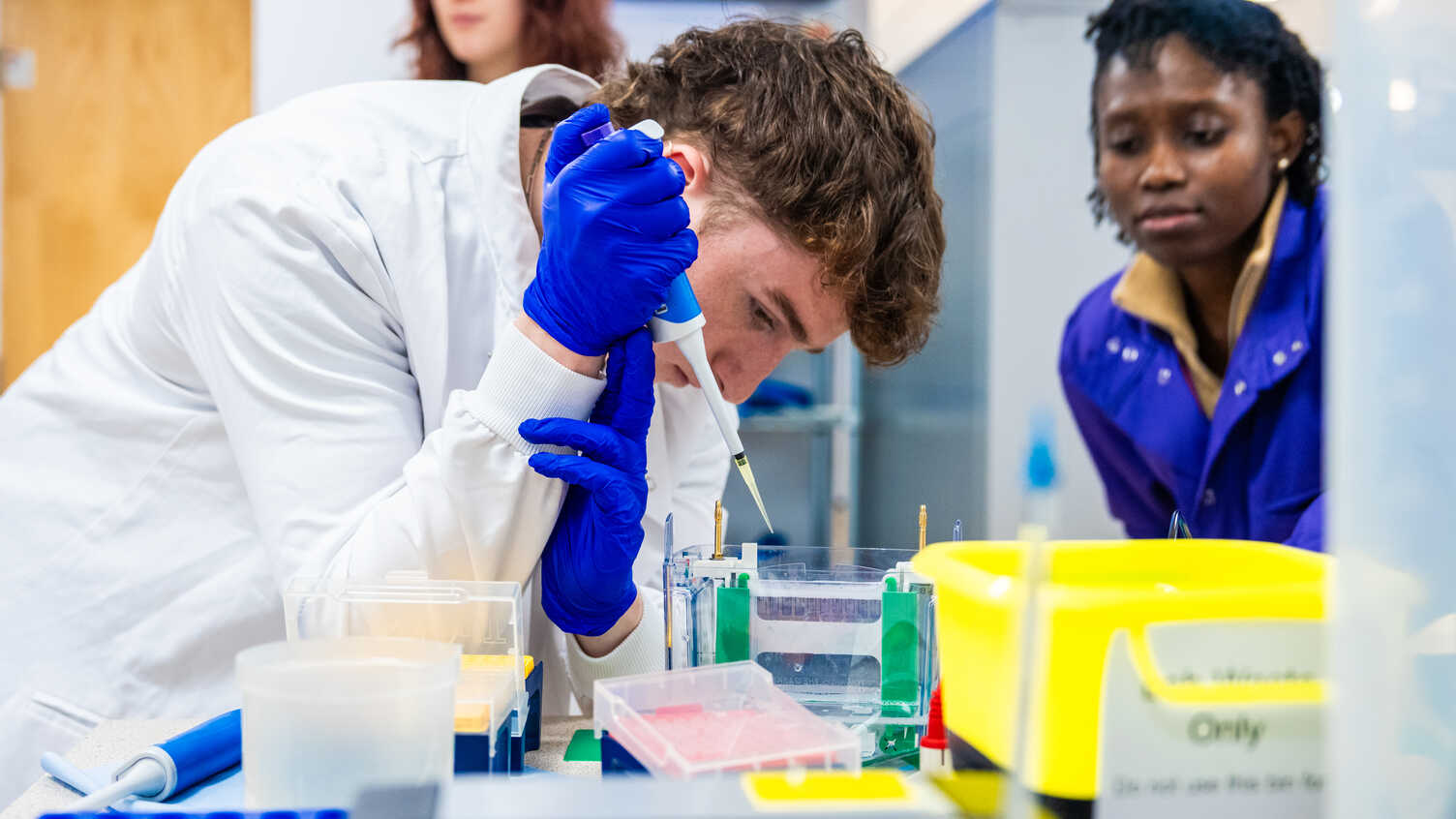 Biochemistry | Biosciences | The University of Sheffield